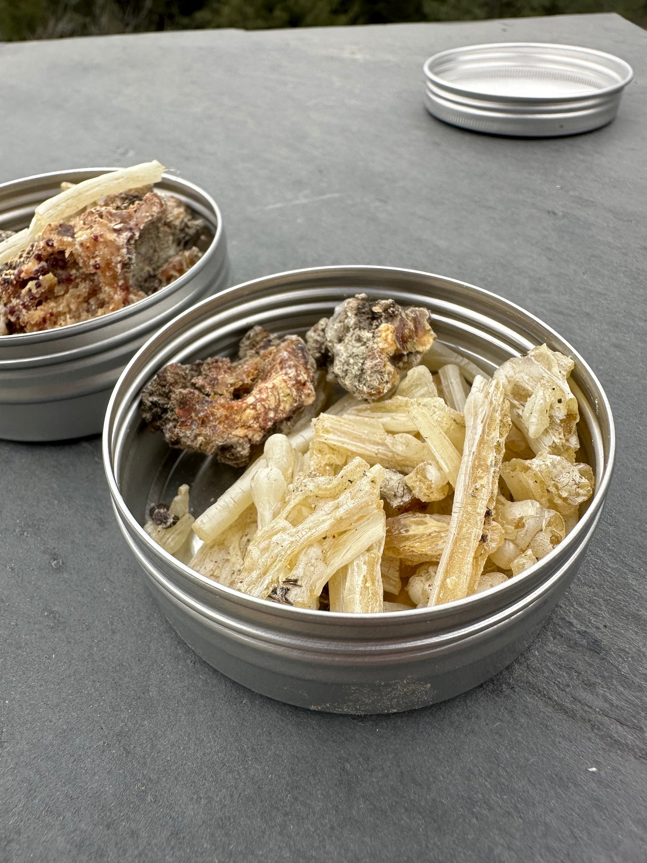 Douglas Fir Resin Douglas Fir Incense Douglas Fir Aromatherapy Smudging ...