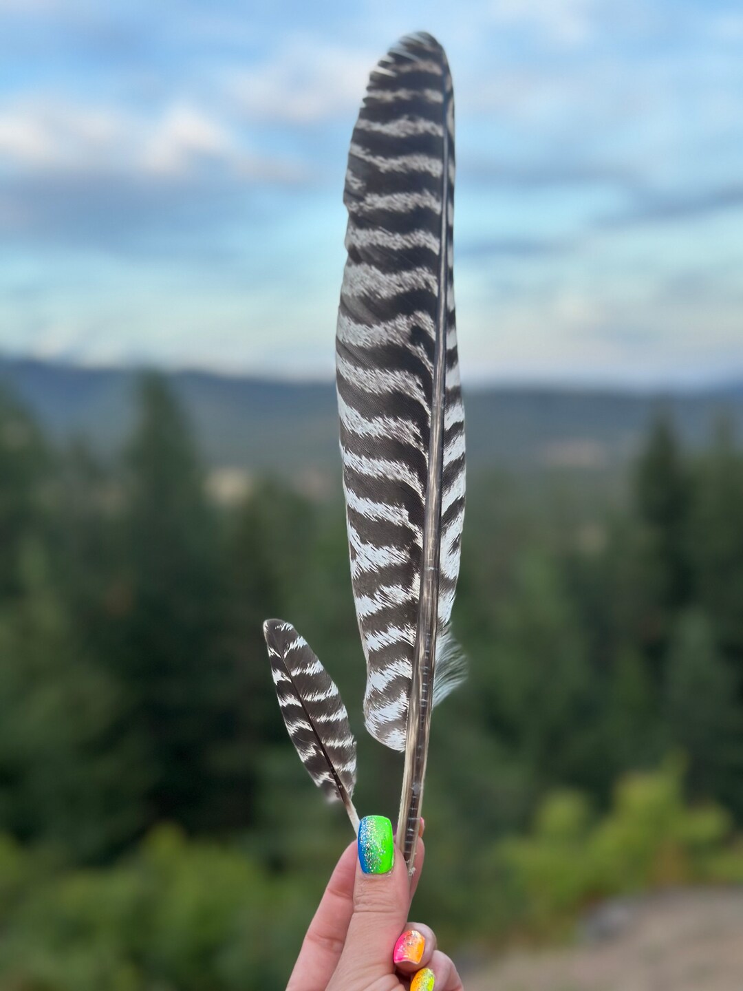 Tiny Turkey Feathers Natural Bird Feathers Real Wild Turkey Feathers ...