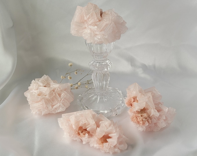 Pink Halite on Trona Specimen From Searles Lake - San Bernardino ...