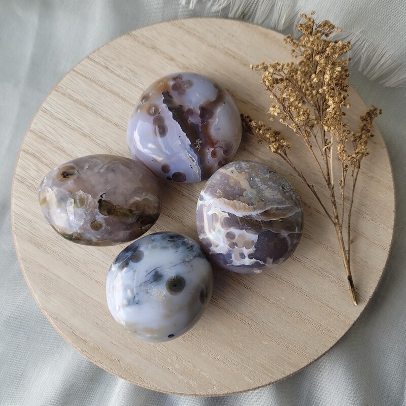 Madagascar Palm - Etsy