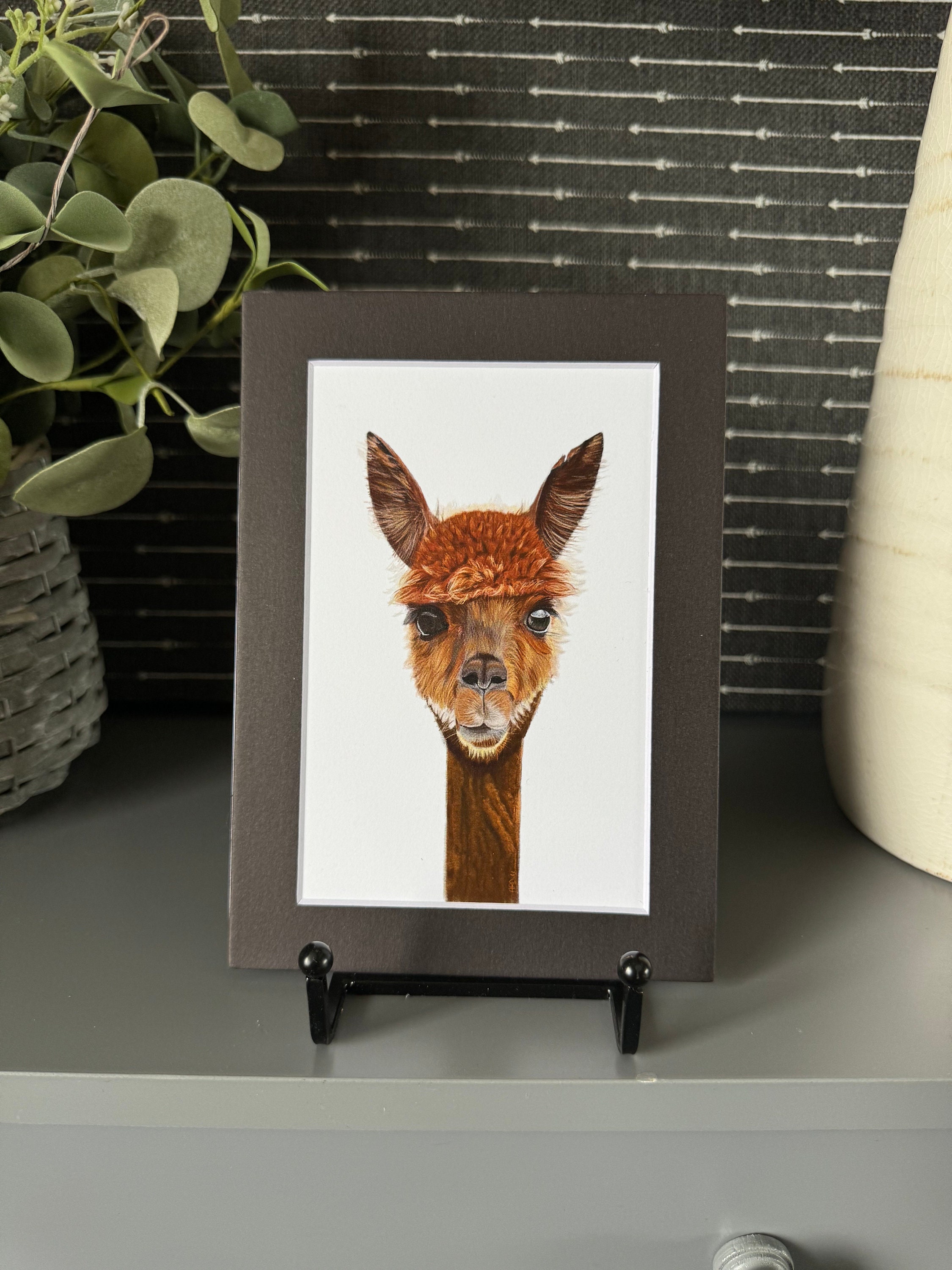 Alpaca Art Print From Hand Drawing | 4”x6” High Quality Print | Matted ...