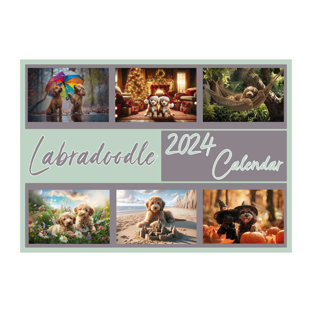 Labradoodle Calendar 2024 Labradoodle Gift Dog Wall Calendar 12 Month ...