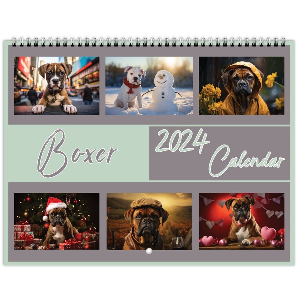 Boxer Calendar 2024 Boxer Wall Calendar Gift Dog Wall - Etsy