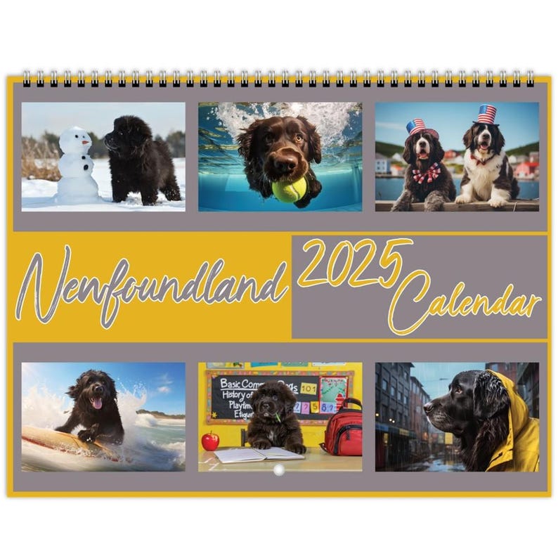 Newfoundland Dog Calendar 2025 | Newfoundland Wall Calendar | Dog Wall ...