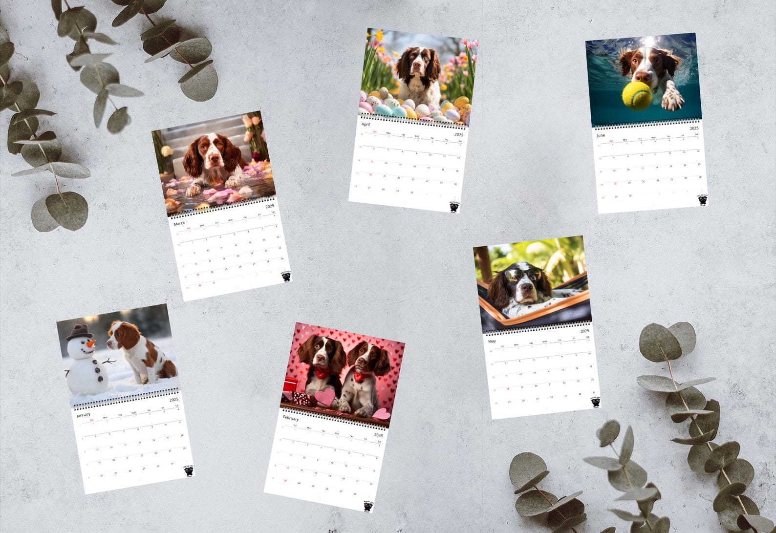 Brittany Calendar 2025 | Brittany Spaniel Wall Calendar | Dog Wall ...