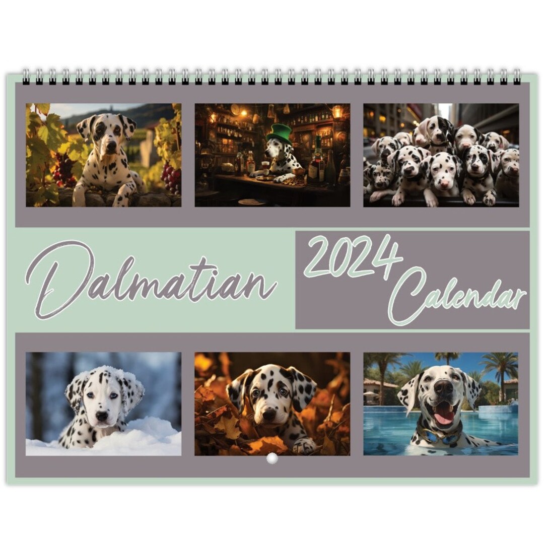 Dalmatian Calendar 2024 Dalmatian Wall Calendar Gift Dog - Etsy