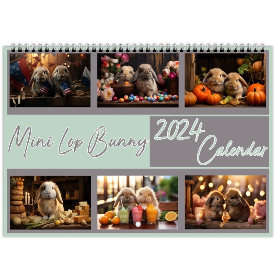 Mini Lop Bunny Calendar 2024 Lop Rabbit Wall Calendar Gift - Etsy