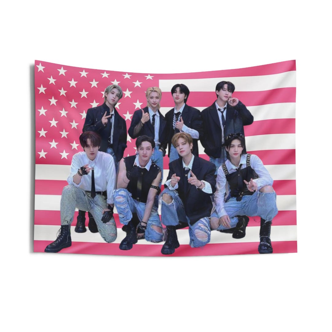 Stray Kids Member Pink Flag Tapestry, SKZ Member Pink American Flag ...