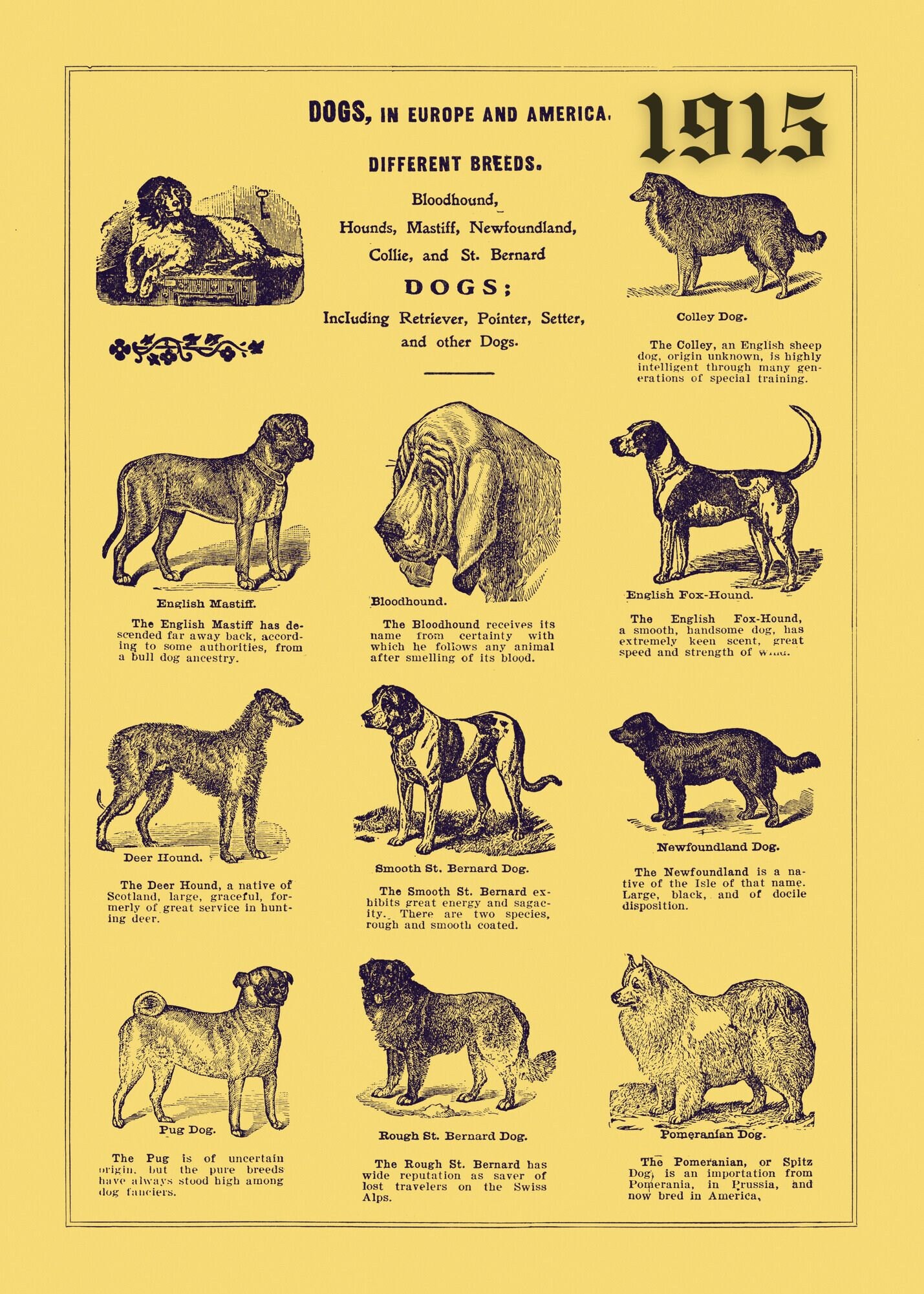 Two Packs of Dog Breed Posters. the Open Door to Independence (1915 ...