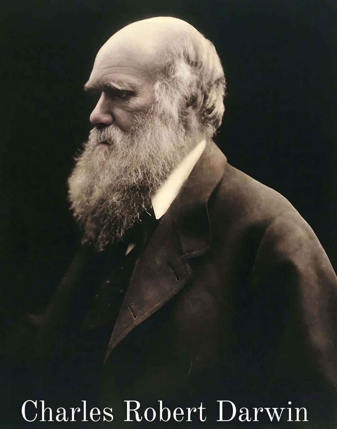 Charles Robert Darwin. Photograph by Julia Margaret Cameron, 1868 ...