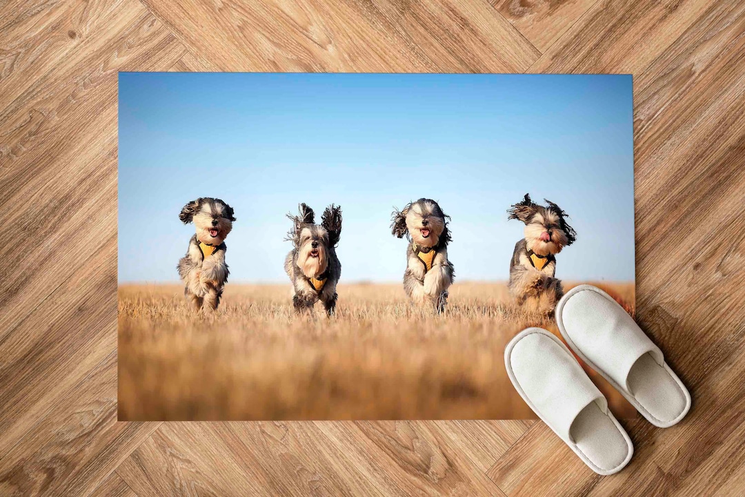 Cute Running Dogs Rugs, Four Cute Dogs Rugs, Dog Rug, Animal Rug ...
