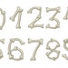 Bones Numbers Vector Digits. Cartoon Isolated Numbers Bonus - Etsy