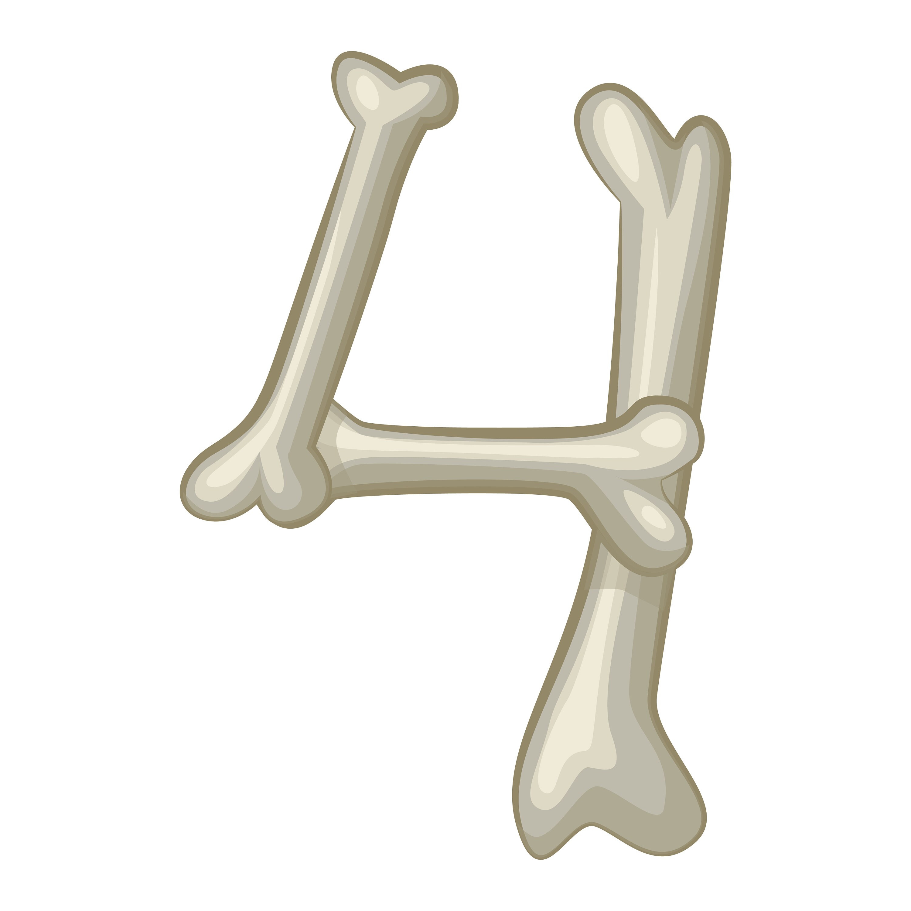 Bones Numbers Vector Digits. Cartoon Isolated Numbers Bonus - Etsy