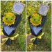 Ogre Sunflower, Shrek Sunflower - Etsy