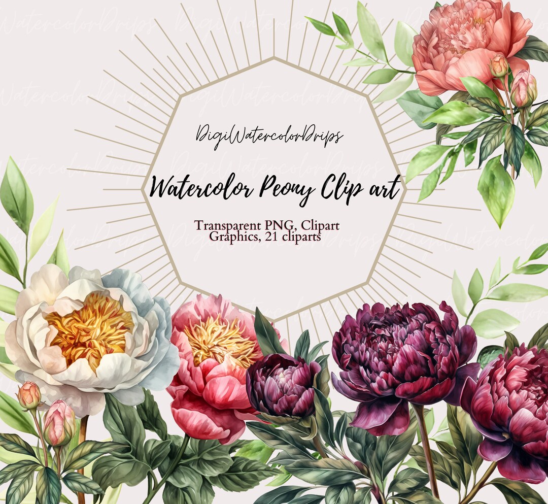 Spring Peony Watercolor Clip Art for Wedding Invitation and Design ...