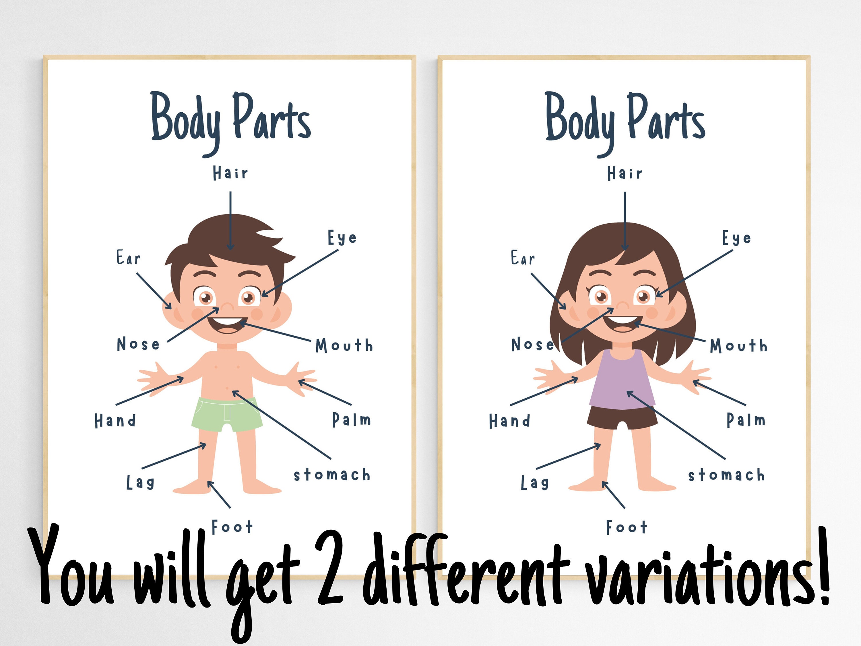 Set of 24 Educational Posters, Montessori Classroom Decor, Homeschool ...