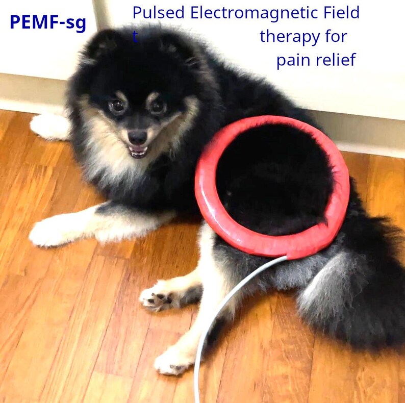 PEMF, Pulse Electromagnetic Field Therapy Loop Device for Pets - Etsy