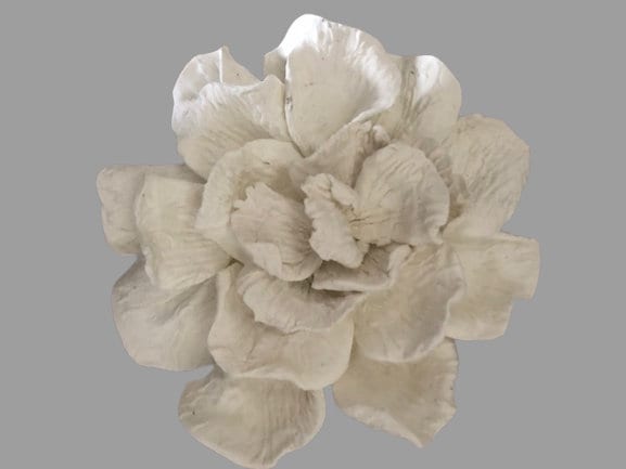 Porcelain Flowers Rose Hand Sculpted Cold Porcelain Flower, Wall Decor ...