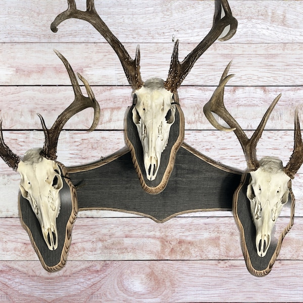 Deer Mount Engraved Plaque - Etsy