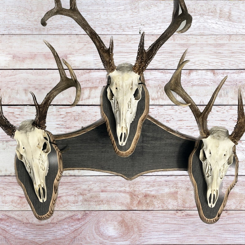 European Mount - Etsy