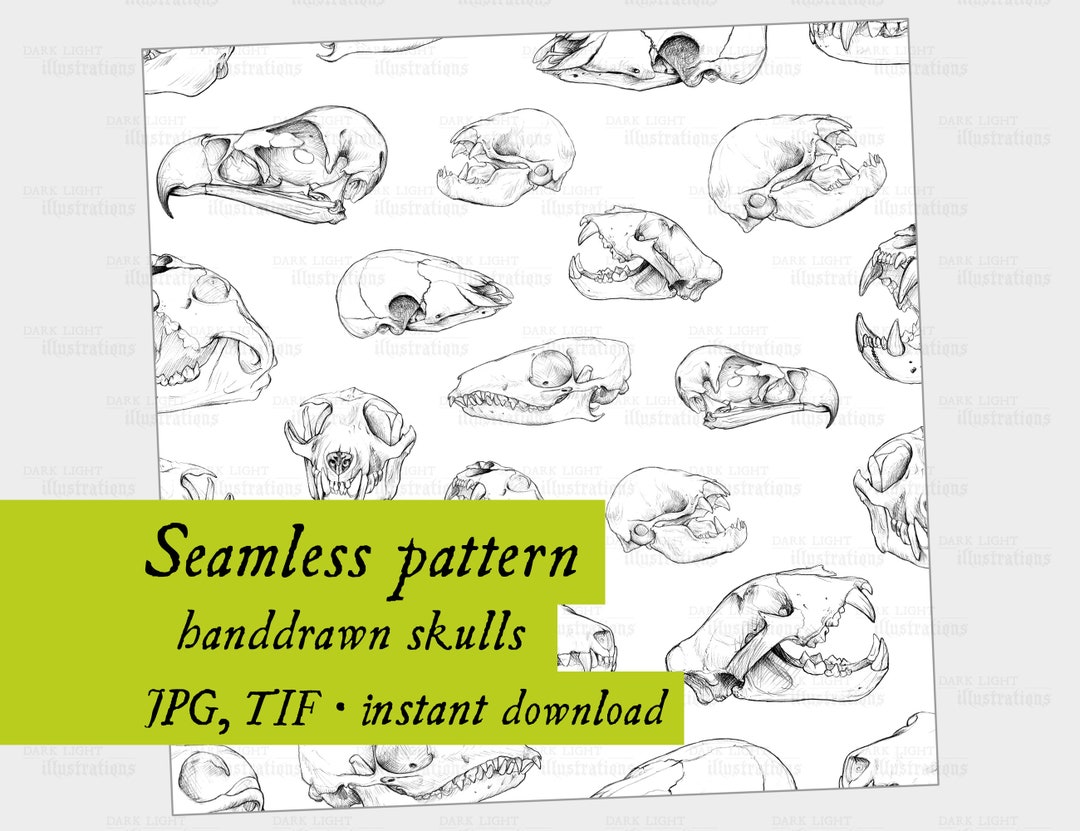 Seamless Skull Pattern, Hand-drawn Animal Skulls - Etsy