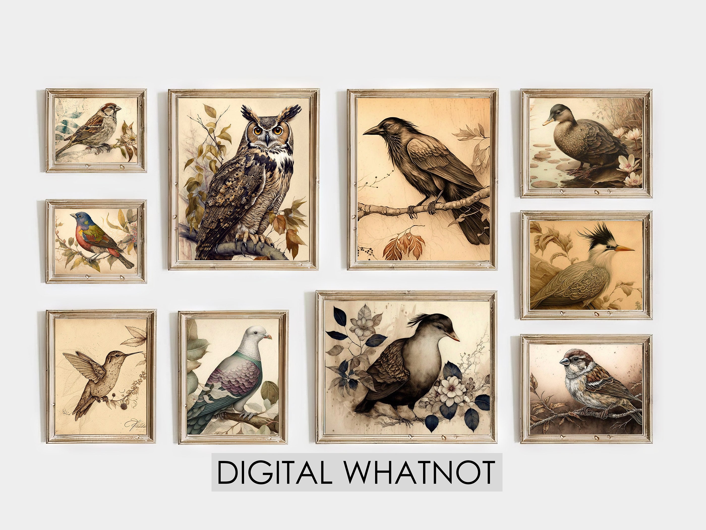 Vintage Birds Gallery Wall Print SET of 18 Vintage Dining - Etsy