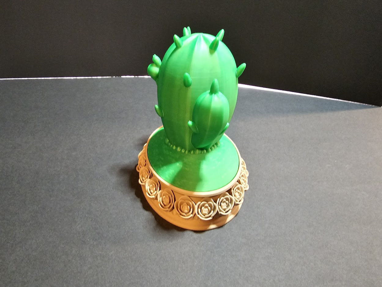 3D Printed Cacti Jewelry Box - Koza Design, 3d Print - Etsy