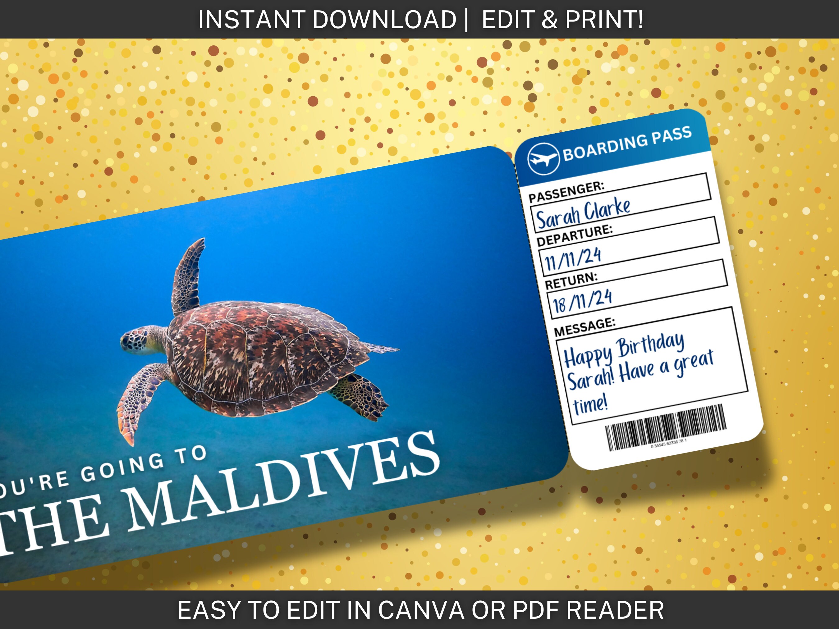 MALDIVES Surprise Boarding Pass Ticket Printable Ticket Surprise Trip ...