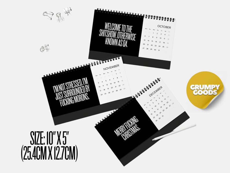 Sh*t I Want to Say at Work 2025 Calendar | Funny Work Gifts | Funny ...