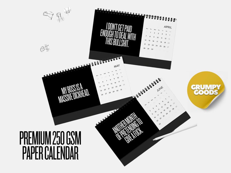Sh*t I Want to Say at Work 2025 Calendar | Funny Work Gifts | Funny ...