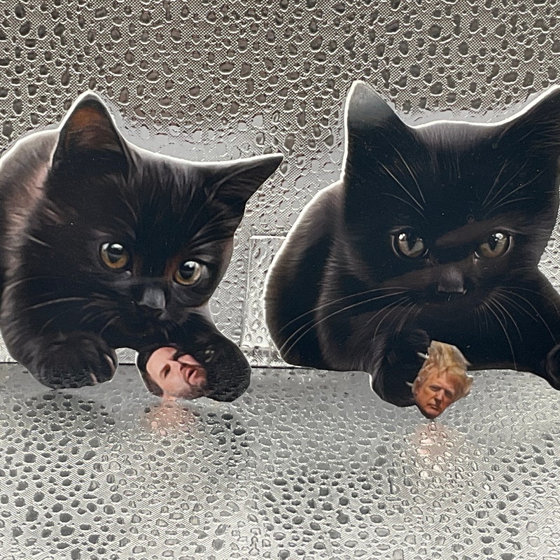 Anti Trump Bumper Sticker - Etsy