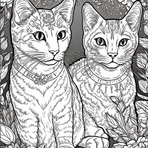 Whisker Wonderland: A Cat Coloring Adventure. Cats and Kittens Coloring ...
