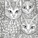 Whisker Wonderland: A Cat Coloring Adventure. Cats and Kittens - Etsy