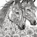 Horse Dreams. A Coloring Book. Downloadable Coloring Book Pages. 25 ...