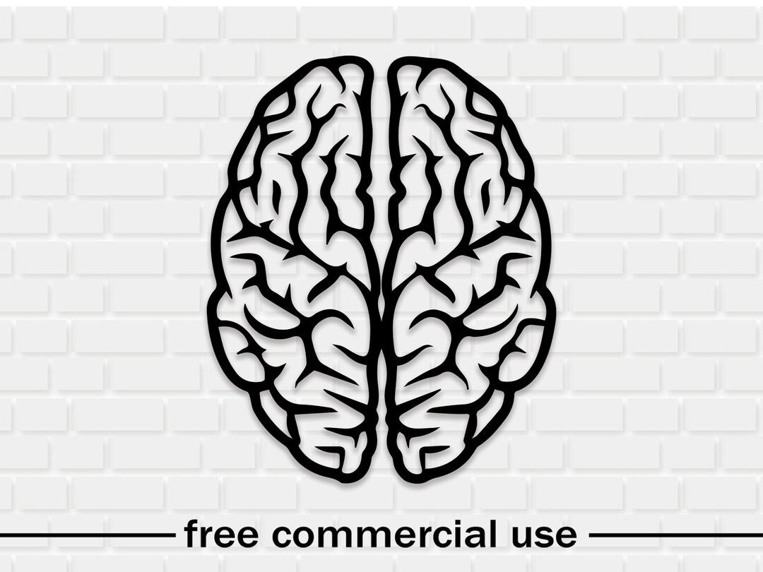 Brain SVG, Brain PNG, Brain Clipart, Brain Cut File, Brain Stencil ...