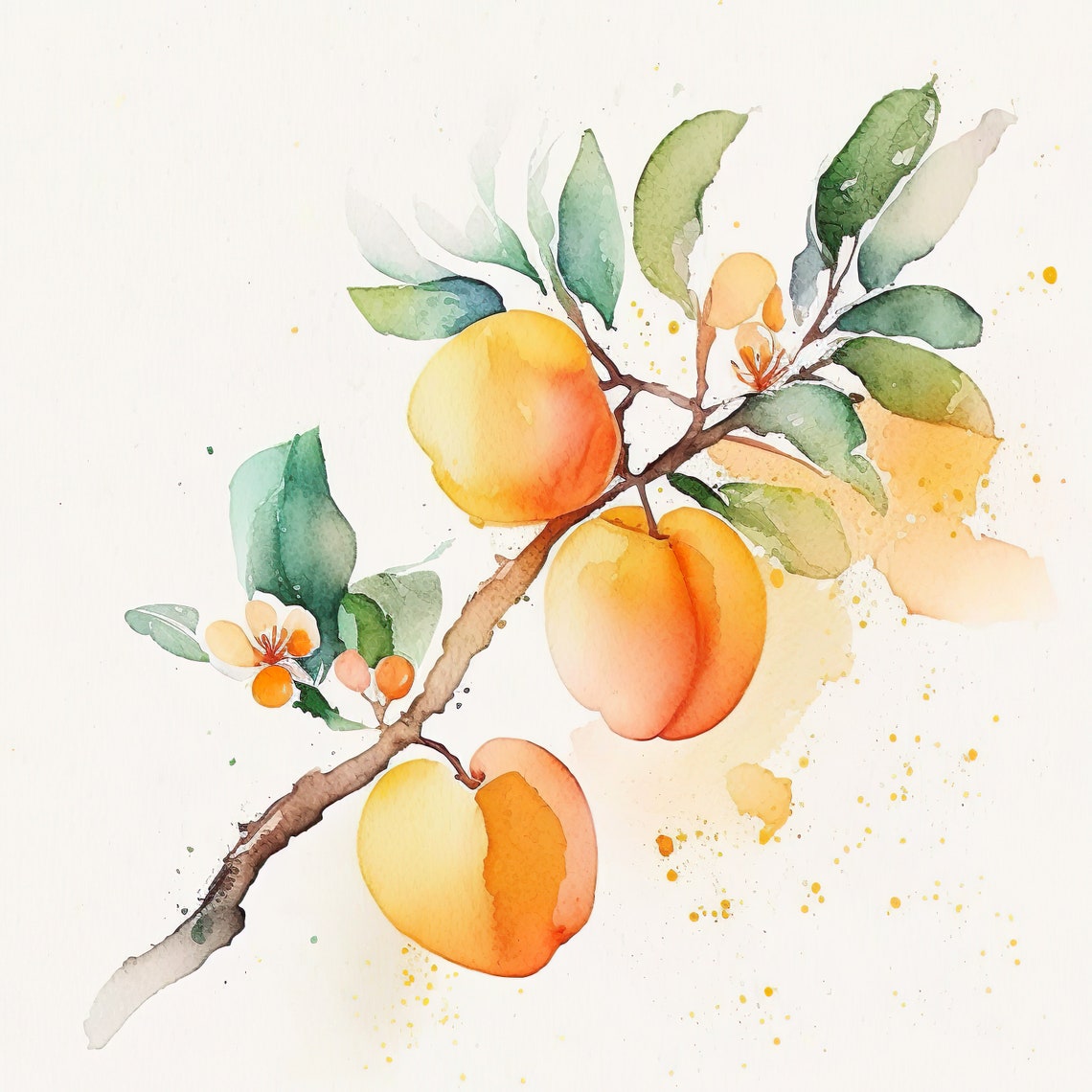 Apricot Watercolor [DIGITAL PRINT] - Etsy