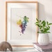 Grapes Print | Watercolor | Digital Download | Original Art | Fruit ...