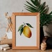 Mango Print | Watercolor | Minimalist | Digital Download | Digital Art ...