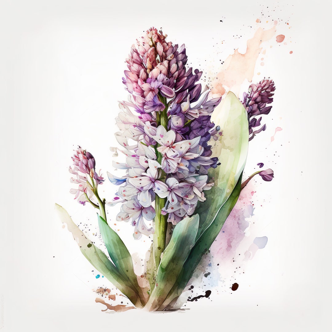 Hyacinth Print, Printable Wall Art, Watercolor Hyacinth Wall Decor ...