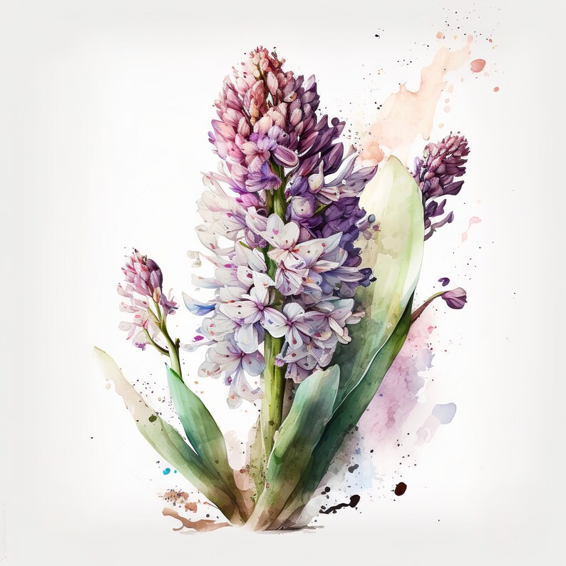 Hyacinth Print, Printable Wall Art, Watercolor Hyacinth Wall Decor ...