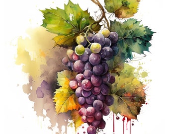 Grapes Print | Watercolor | Digital Download | Original Art | Fruit ...