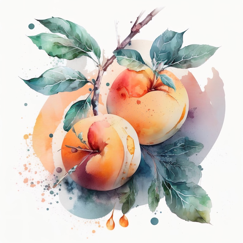 Apricot Watercolor [DIGITAL PRINT] - Etsy