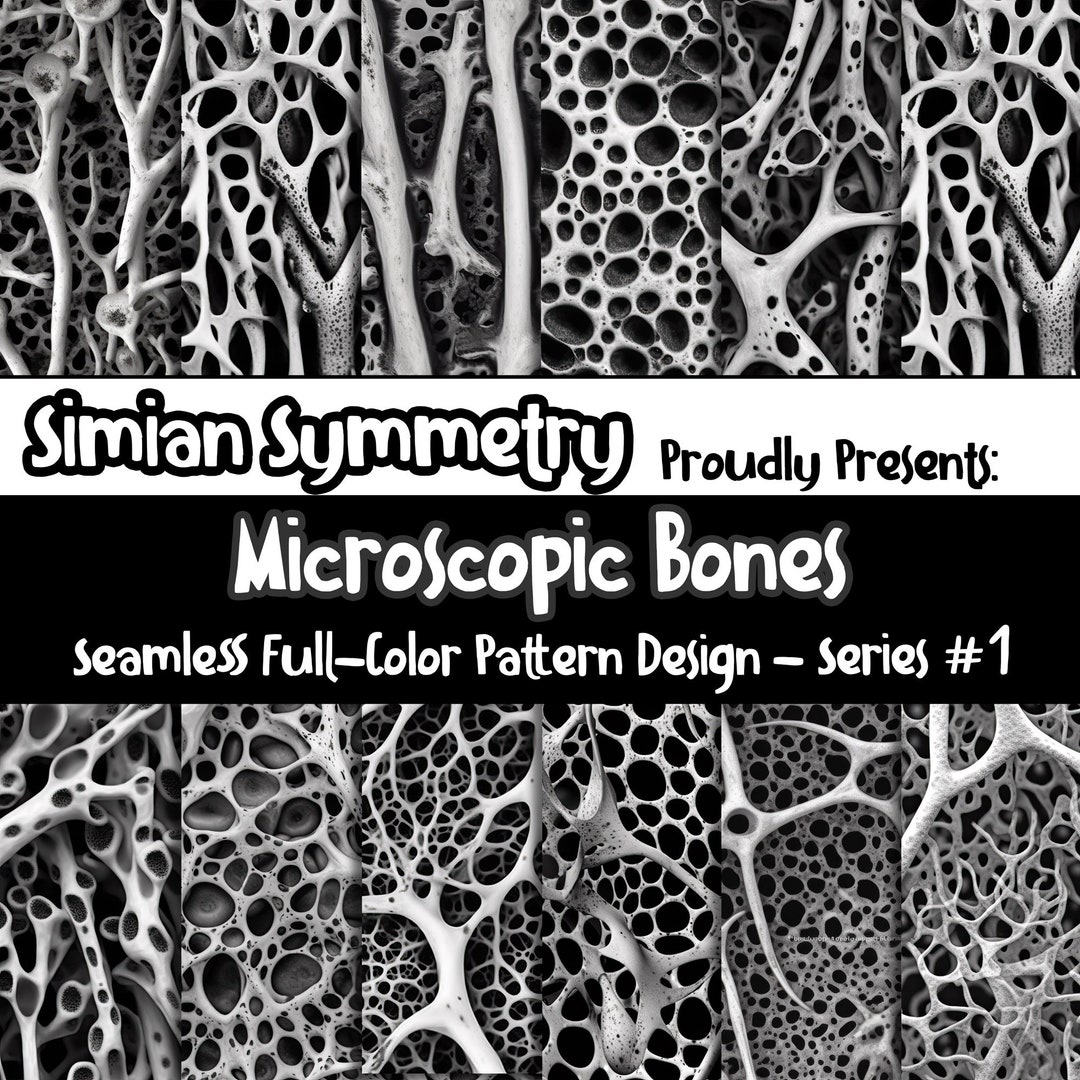 DIGITAL PAPER Microscopic Bones Series 1 Seamless Designs Twelve ...