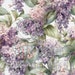 Watercolor Lilacs Digital Paper Watercolor Lilacs Seamless - Etsy