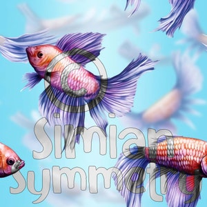 DIGITAL PAPER Beautiful Bettas Series 1 | Seamless Designs | Twelve ...