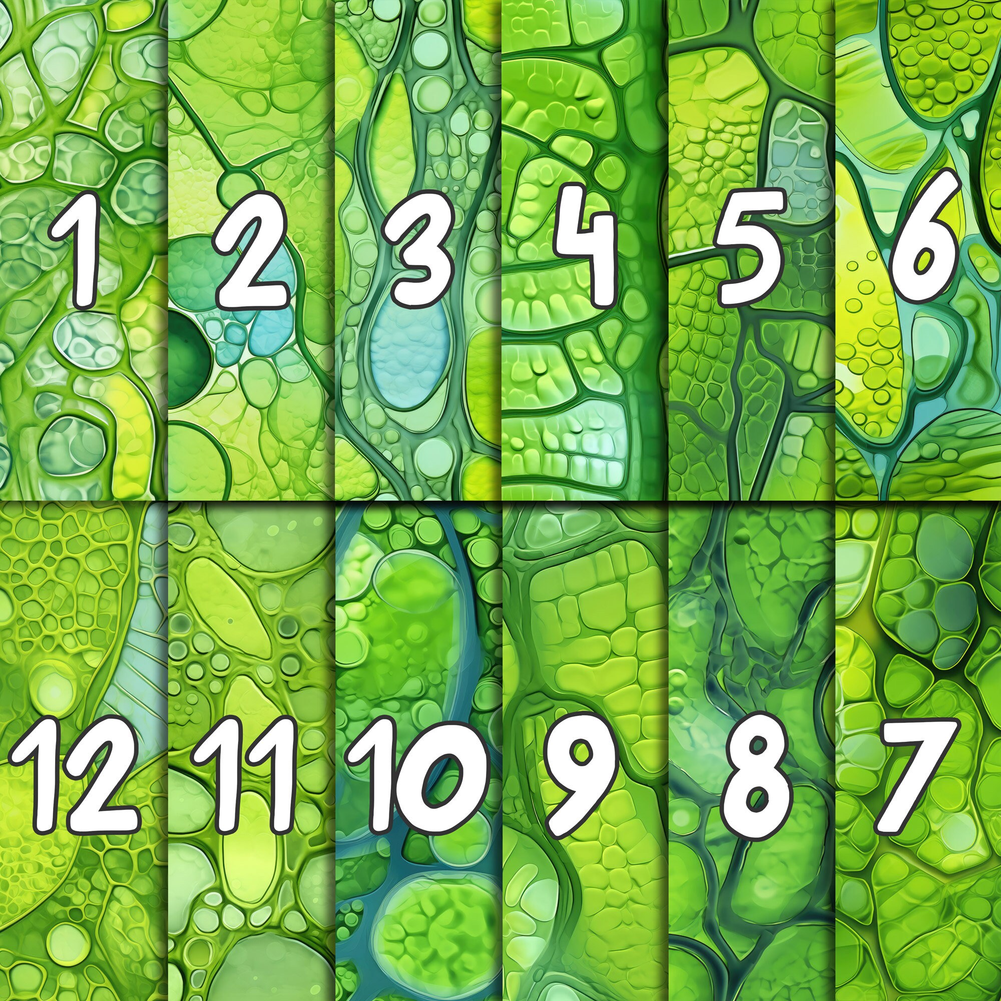 Microscopic Plant Cells Digital Paper Instant Download - Etsy