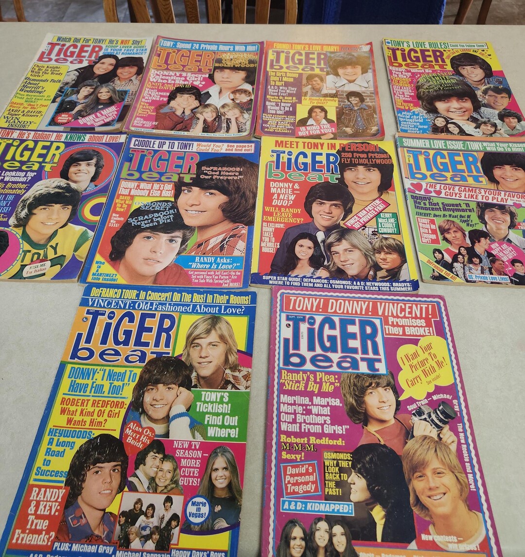 Vintage Tiger Beat 1974 Magazines Lot of 10 - Etsy