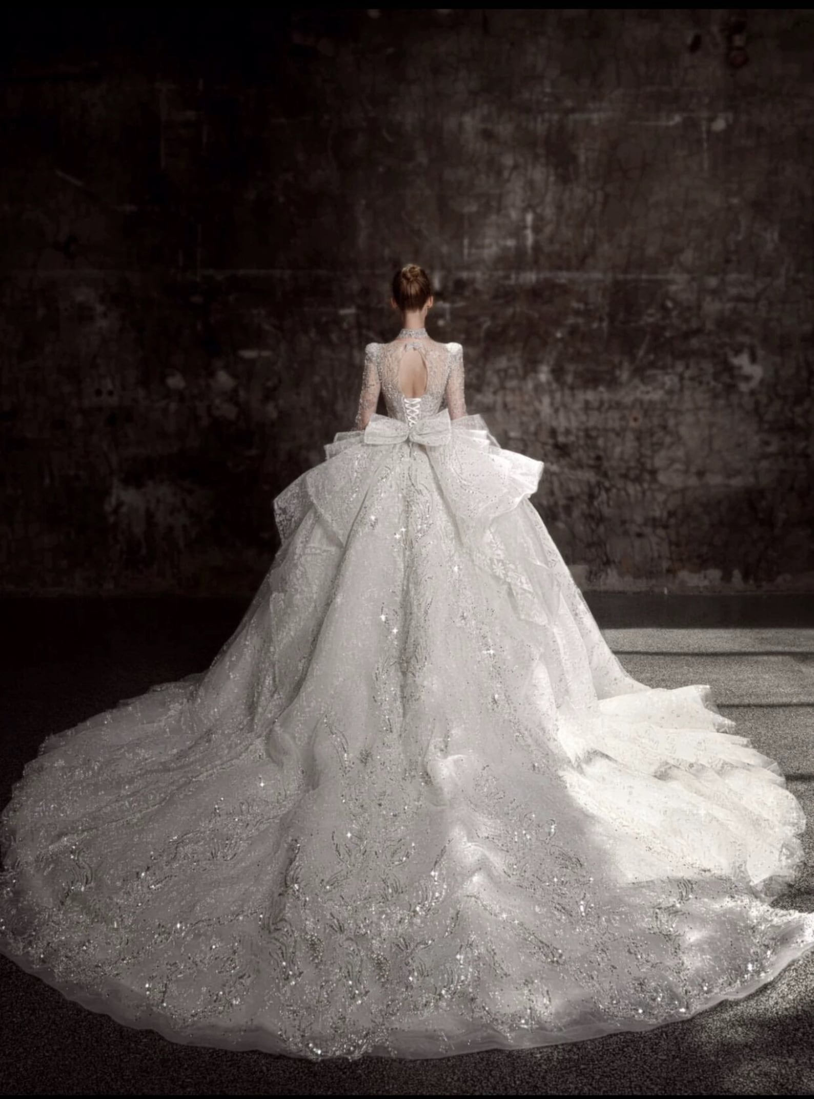 Luxury Long Sleeve Wedding Dress Big Long Train Bridal Gown - Etsy