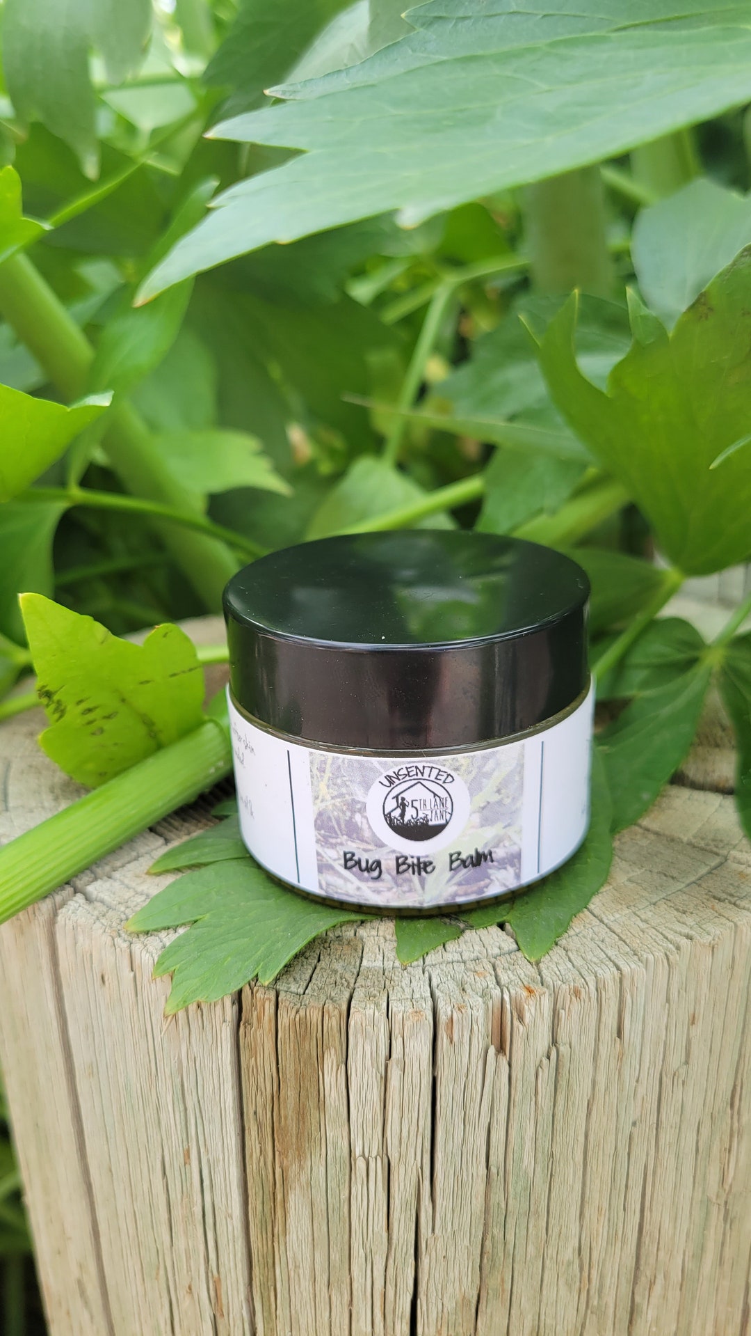 Unscented Bug Bite Balm: Infused Plantain Salve - Etsy