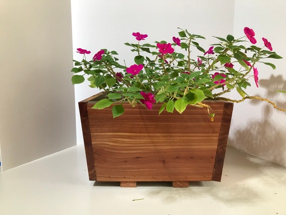 Western Red Cedar Polyurethane